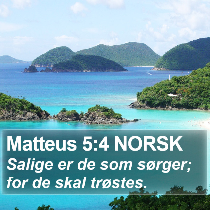Matteus 5:4 NORSK - Salige er de som sørger; for de skal