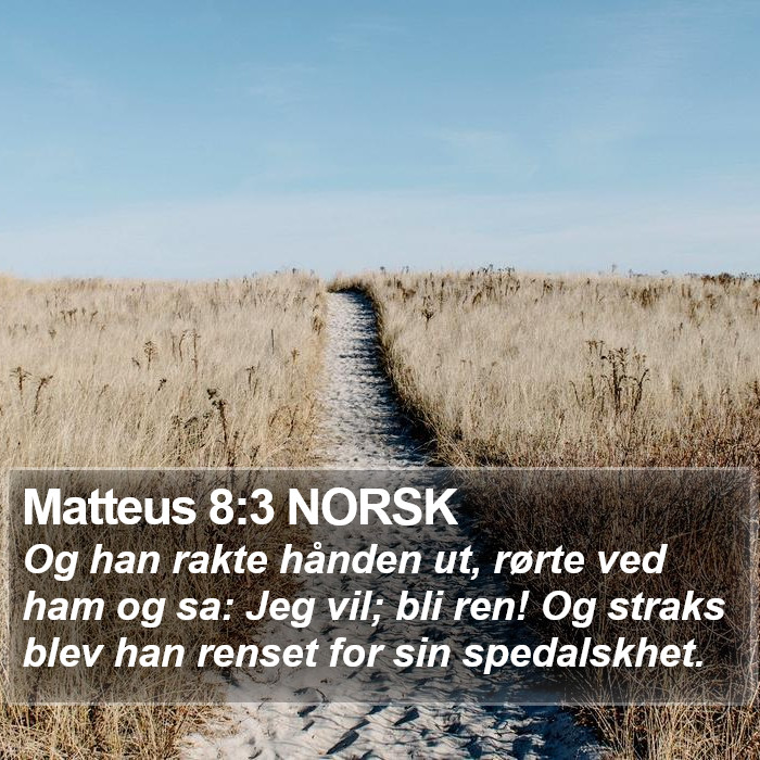 Matteus 8:3 NORSK - Og han rakte hånden ut, rørte ved ham og sa: