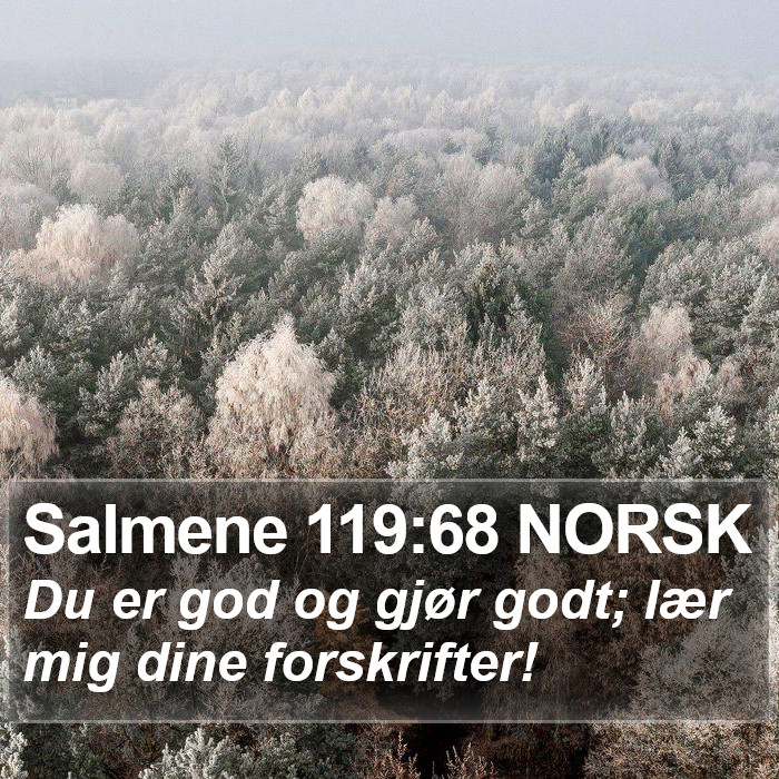 Salmene 119:68 NORSK - Du er god og gjør godt; lær mig dine
