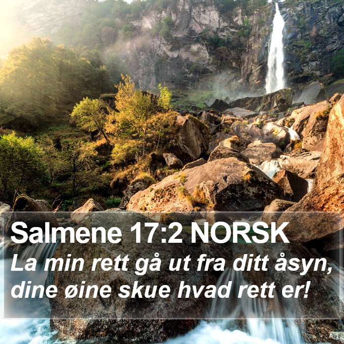 Salmene 17:2 NORSK - La min rett gå ut fra ditt åsyn, dine øine