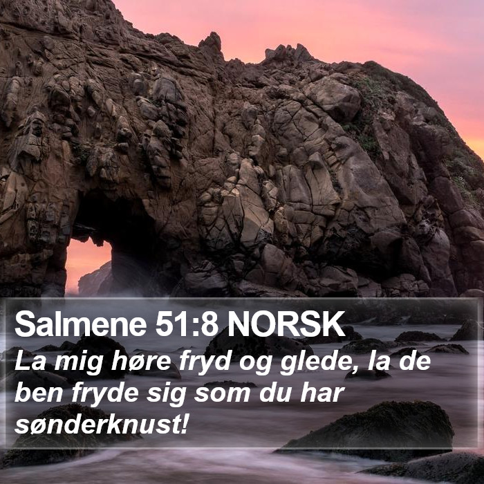 Salmene 51:8 NORSK - La mig høre fryd og glede, la de ben fryde sig