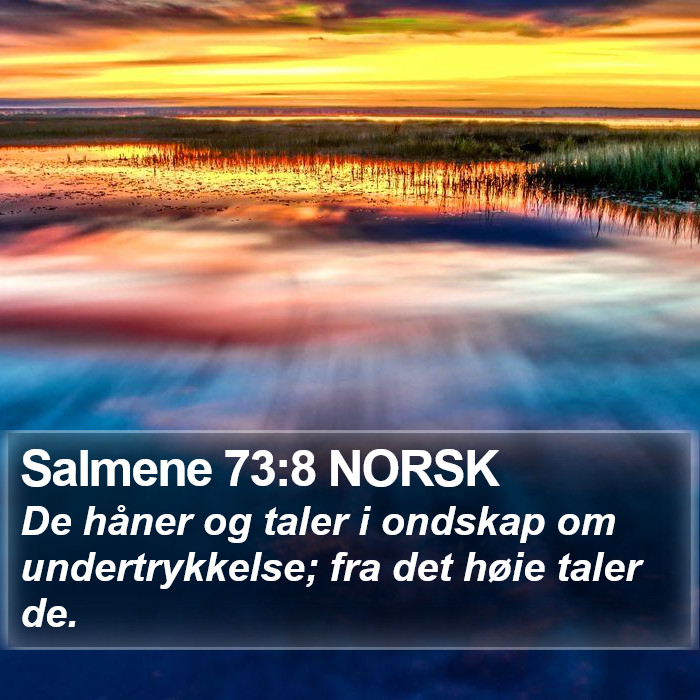 Salmene 73:8 NORSK - De håner og taler i ondskap om undertrykkelse;
