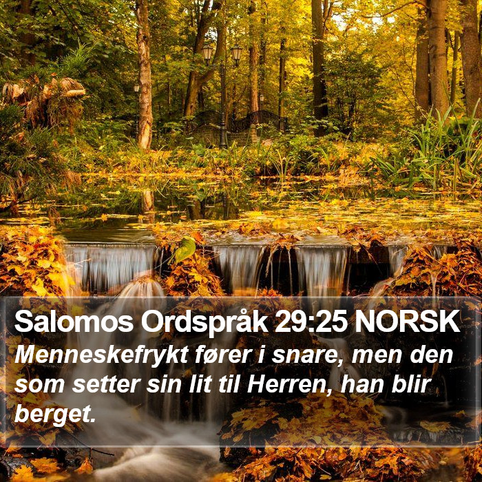 Salomos Ordspråk 29:25 NORSK - Menneskefrykt fører i snare, men den som ...