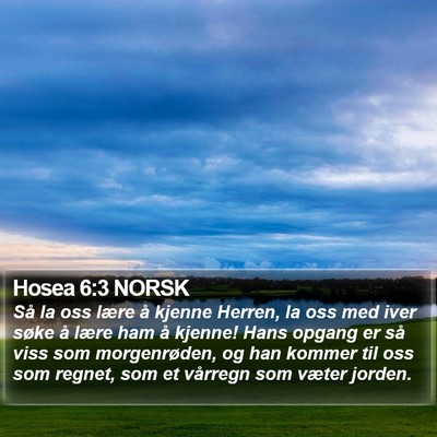 Hosea 6 Bible Images - Hosea Chapter 6 NORSK Bible Verse Pictures