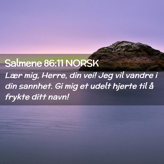 Salmene 86:11 NORSK - Lær mig, Herre, din vei! Jeg vil vandre i din